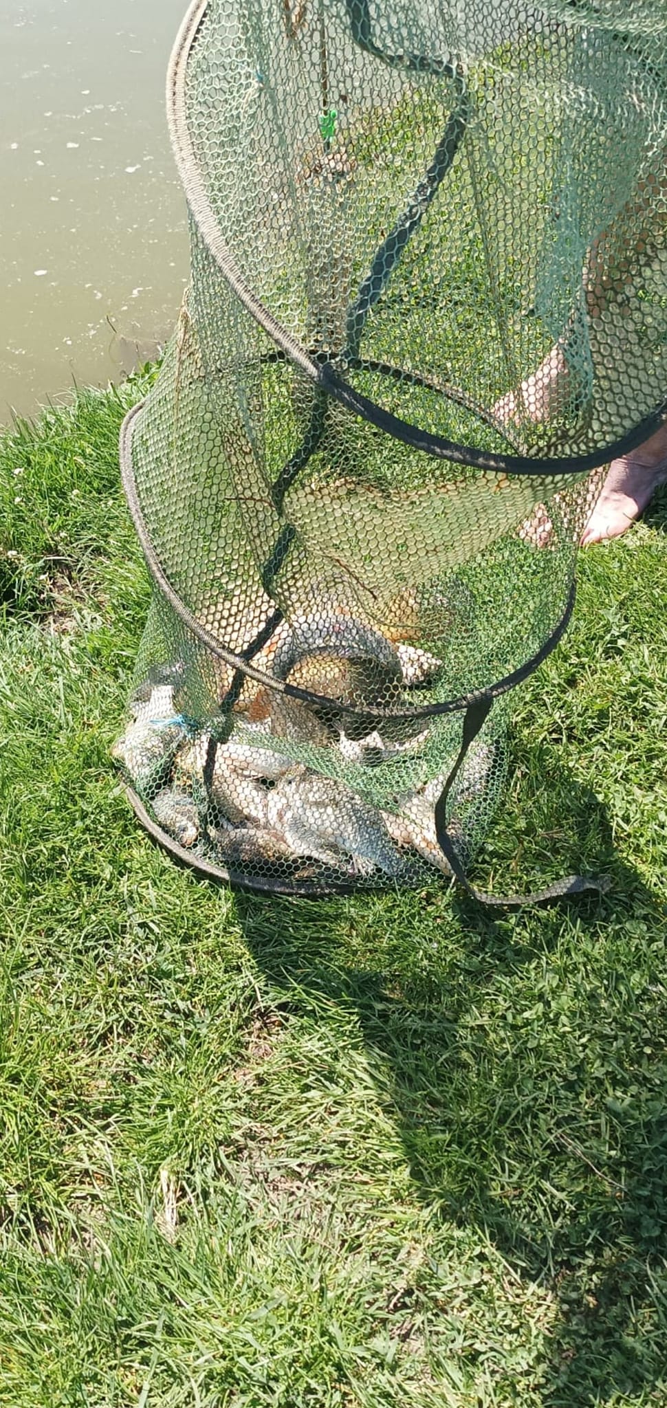 Balta Black Lupsanu 2 & Lupsanu 3 - Locuri de Pescuit