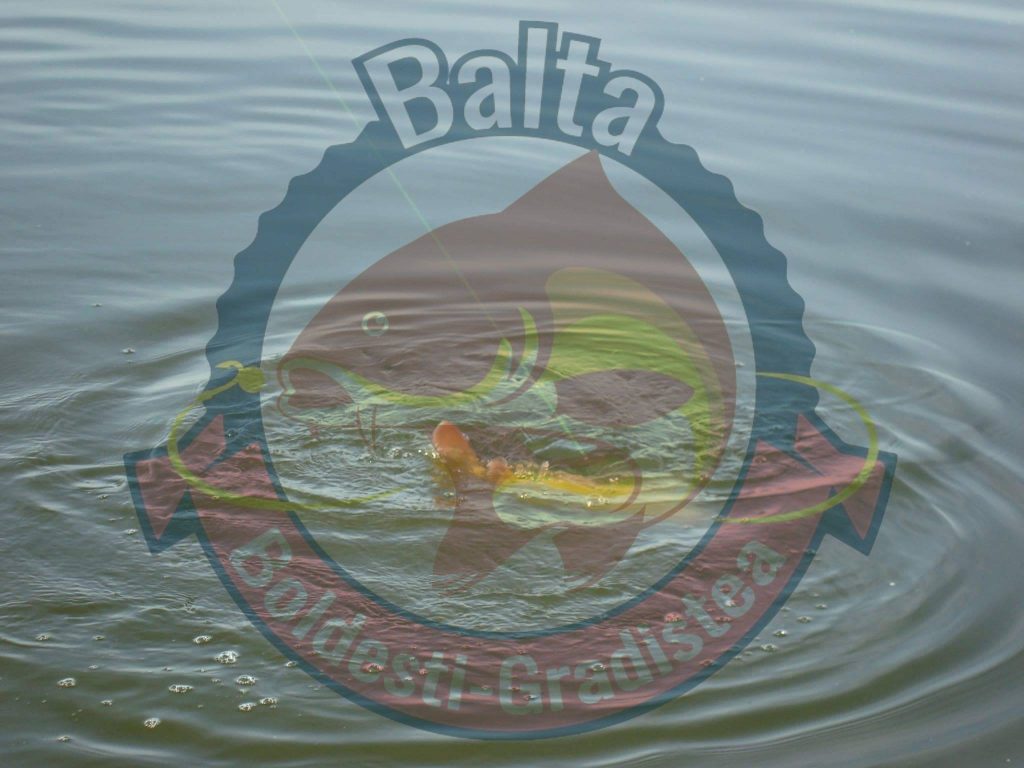 Balta Boldesti Gradistea - Locuri de Pescuit